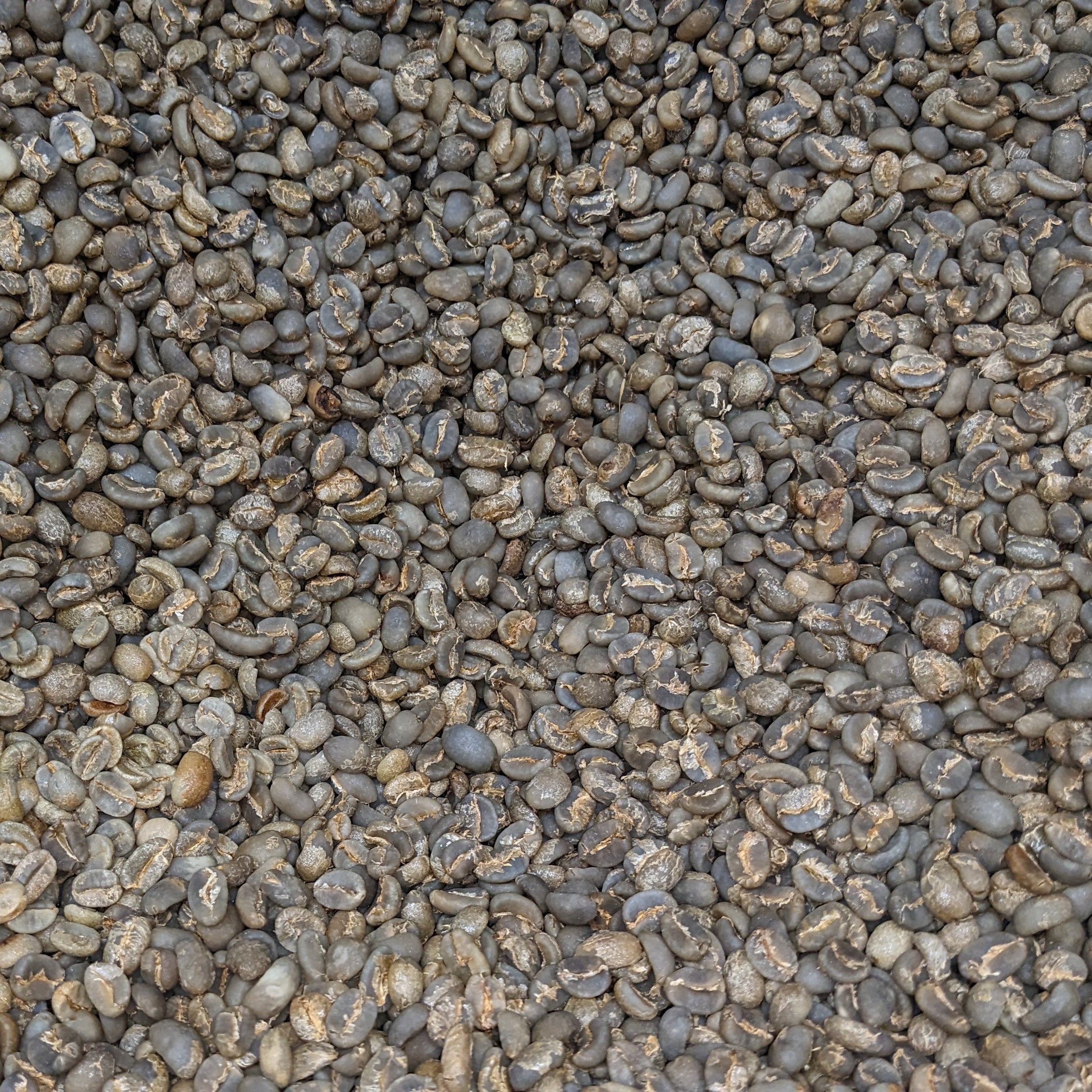 Sumatra Aceh Harimau Tiger | Headwaters Coffee Company